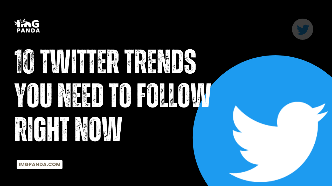 10 Twitter Trends You Need to Follow Right Now – IMGPANDA – A Free ...