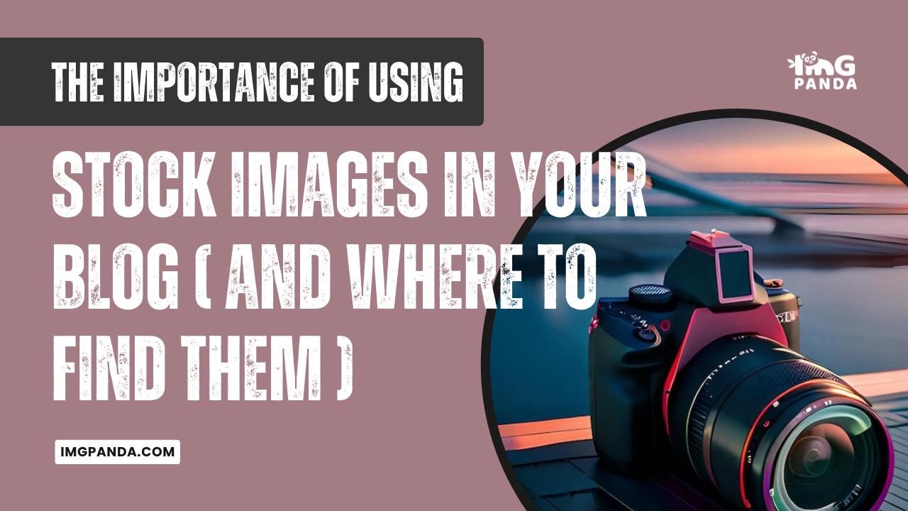 The Importance of Using Stock Images in Your Blog (And Where to Find ...