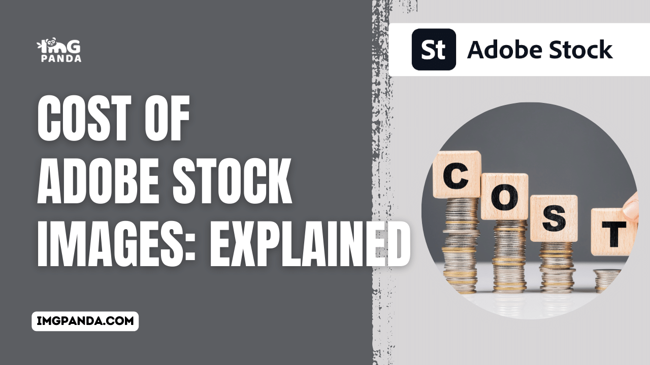 Cost of Adobe Stock Images: Explained – IMGPANDA – A Free Resources Website