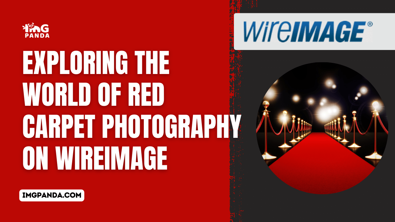 Exploring the World of Red Carpet Photography on WireImage – IMGPANDA ...