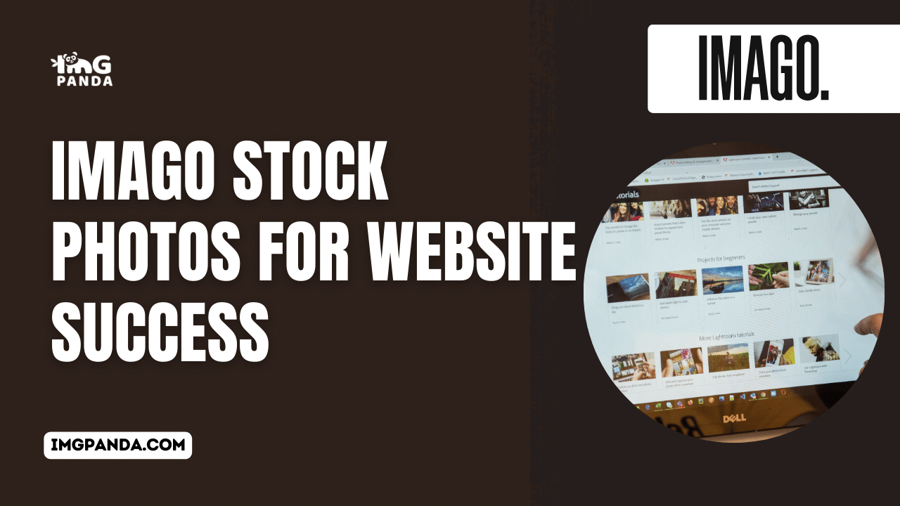 Imago Stock Photos for Website Success – IMGPANDA – A Free Resources ...