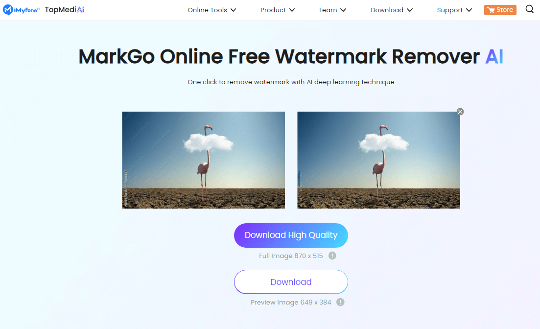 Watermark Woes: Removing the Adobe Stock Watermark Made Easy – IMGPANDA ...