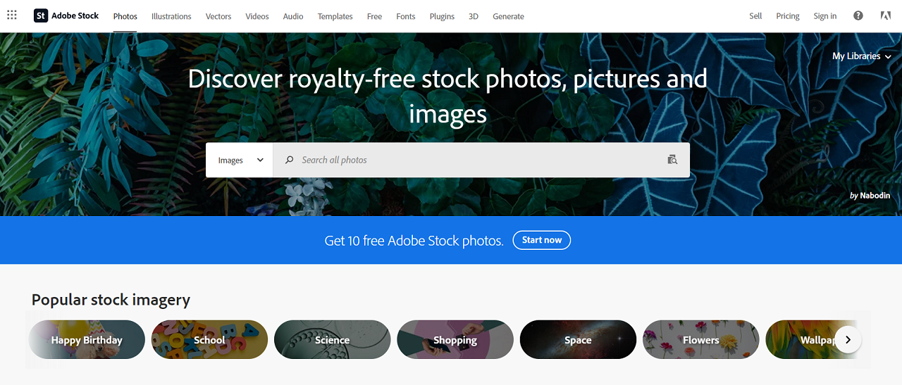 Trending in Pixels: Exploring Adobe Stock’s Most Popular Images ...