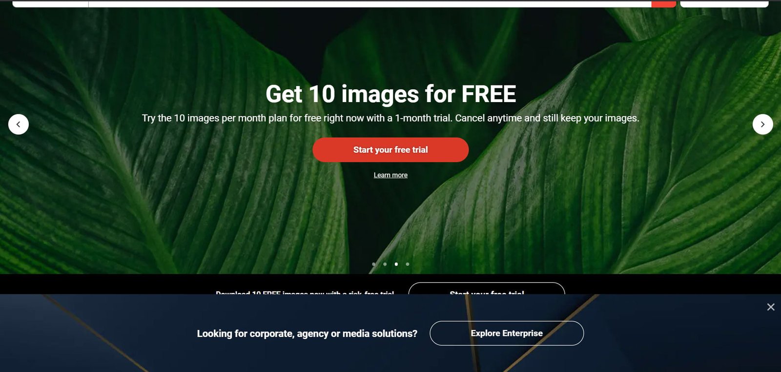 Download Shutterstock Images Without Watermark: A How-To Guide ...